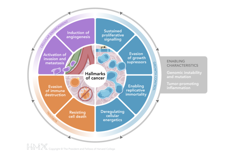 Hallmarks of Cancer – erbiosys.com